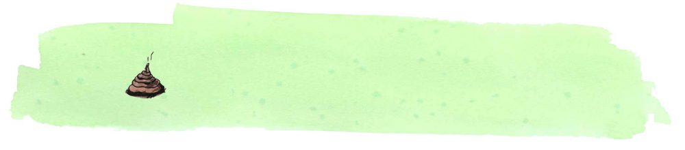 Auteur: David Slavin - de Kinderboekenbaas